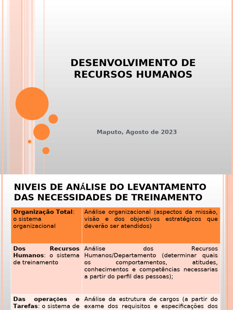 TREINAMENTO-Niveis de Analise Do LNT | PDF