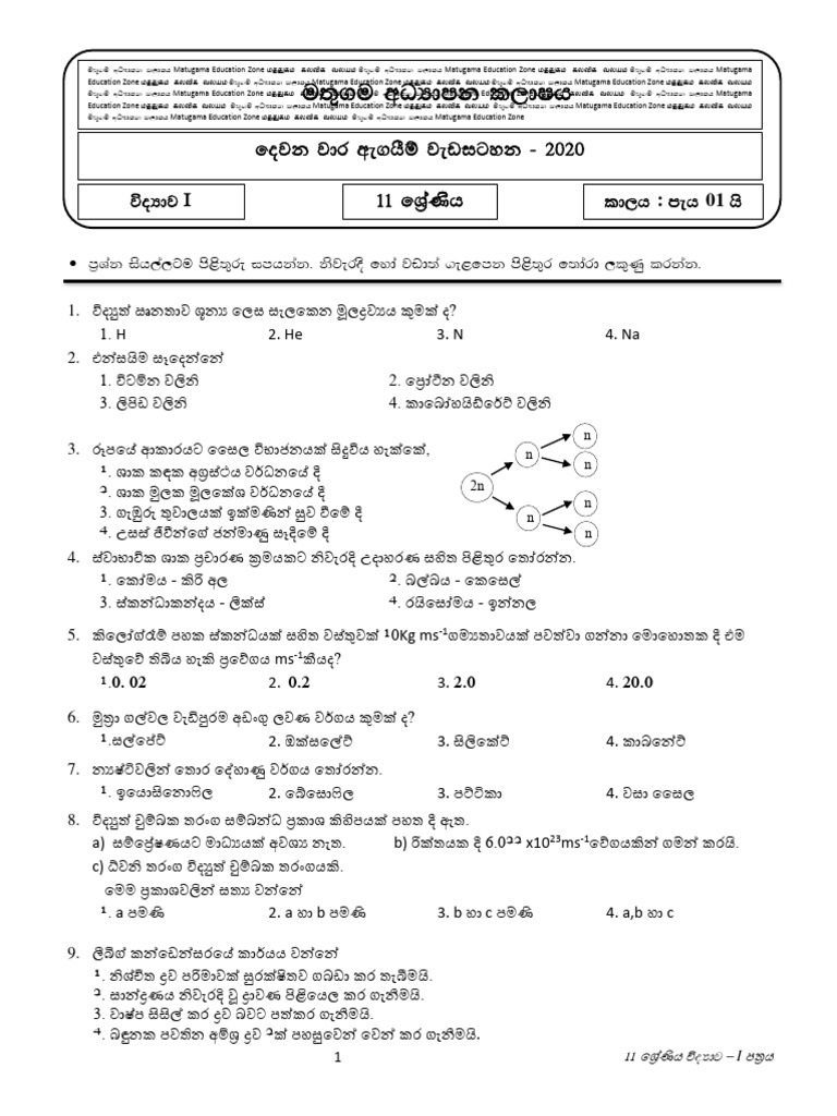Grade 11 Science Paper | PDF