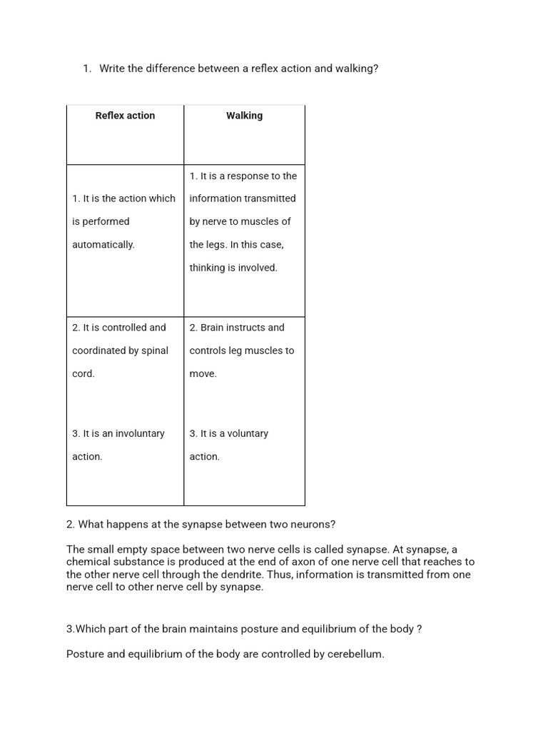 Control and Coordination Classwork Notes | PDF