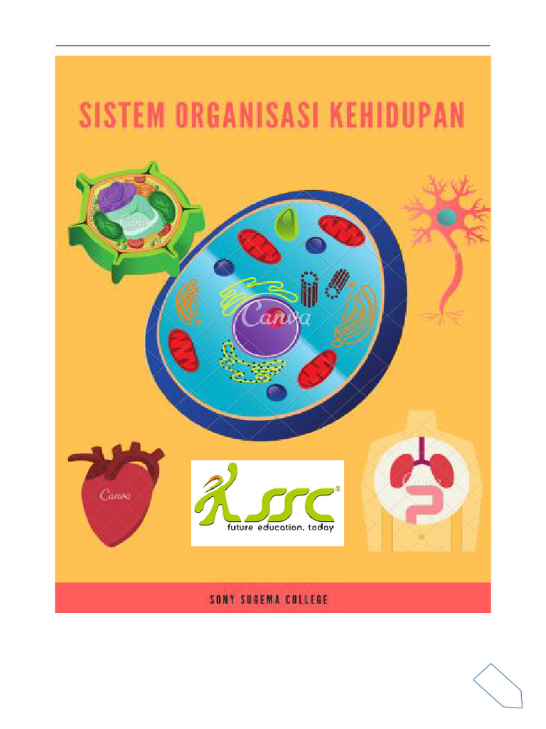 BIO Kelas 7-Bab 1 Sistem Organisasi Kehidupan | PDF