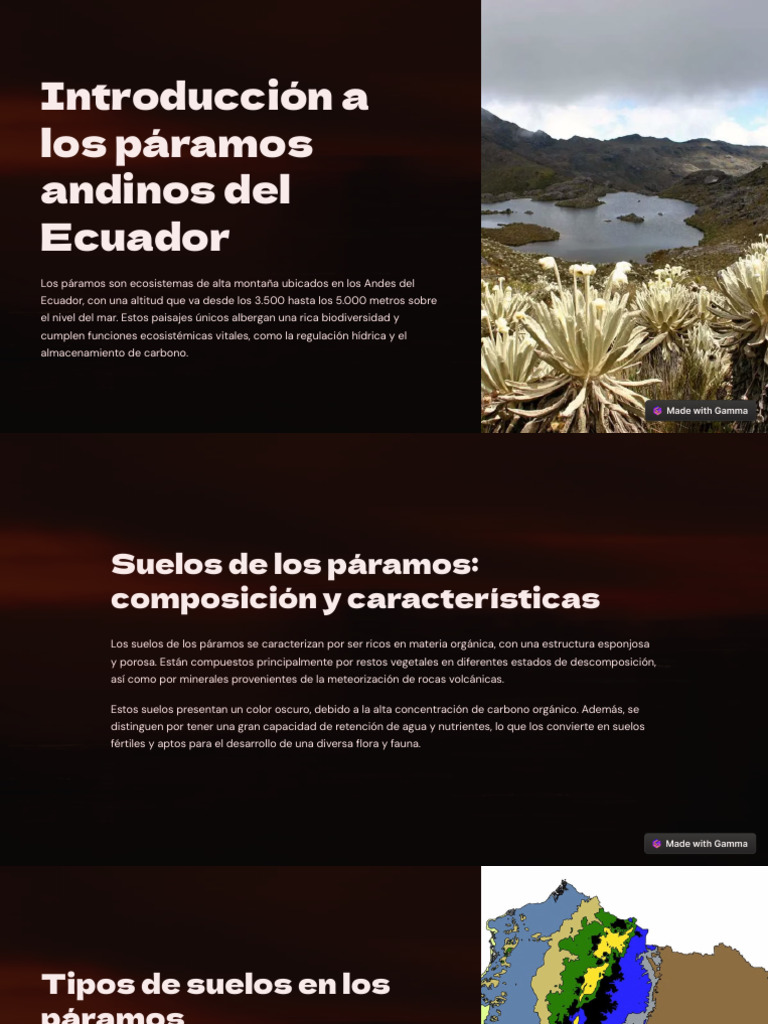 Introduccion A Los Paramos Andinos Del Ecuador | PDF