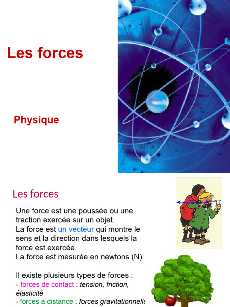 Physique BI T2.2 Forces | PDF