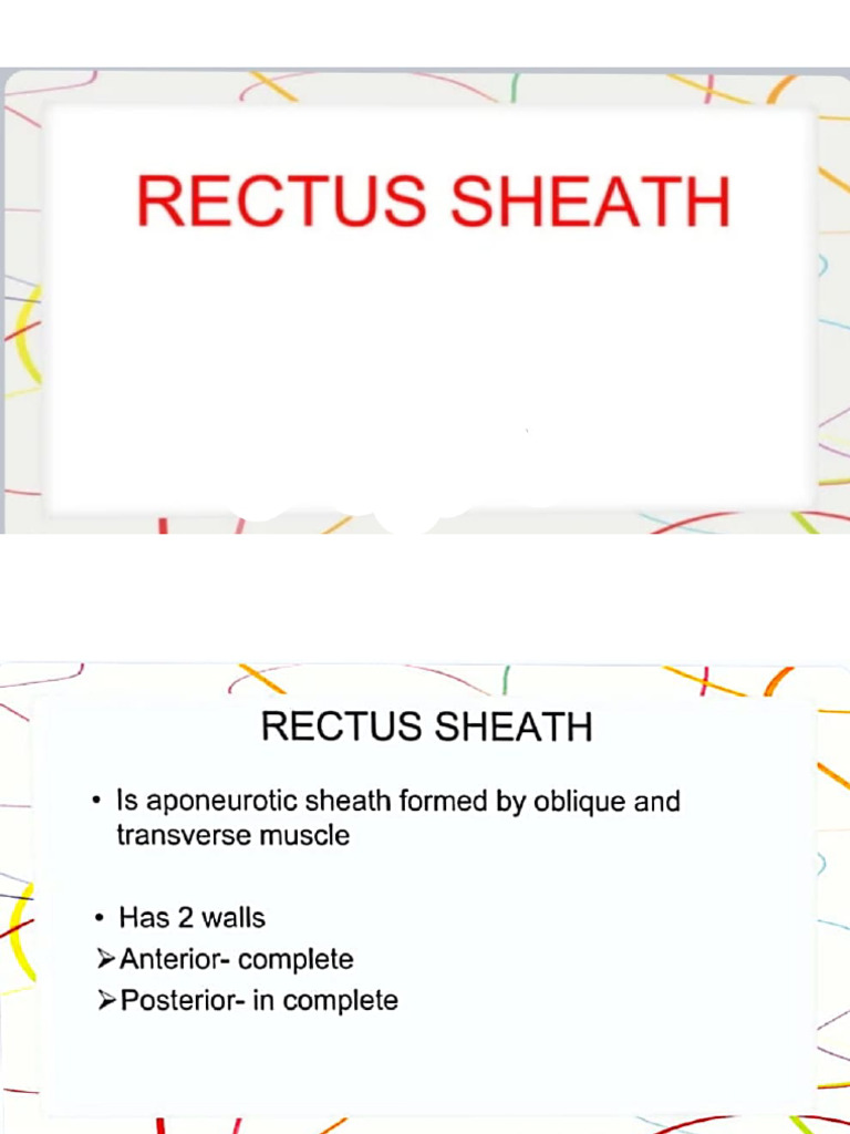 rectus sheath | PDF