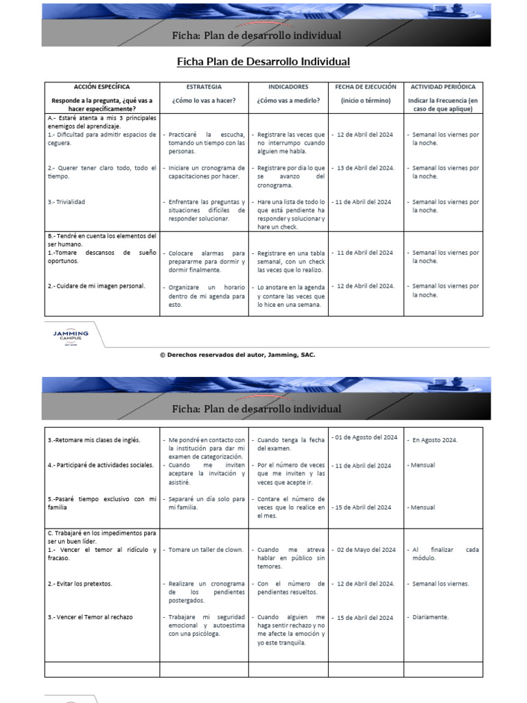 Ficha de Plan de Desarrollo Individual | PDF