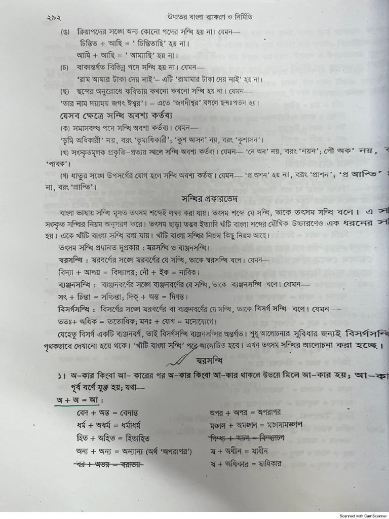Bangla Final Grammars - Sondhi, Baghdhara, Biporit | PDF
