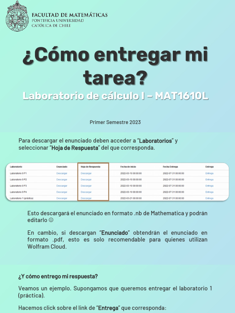 Como Entregar Mi Tarea | PDF