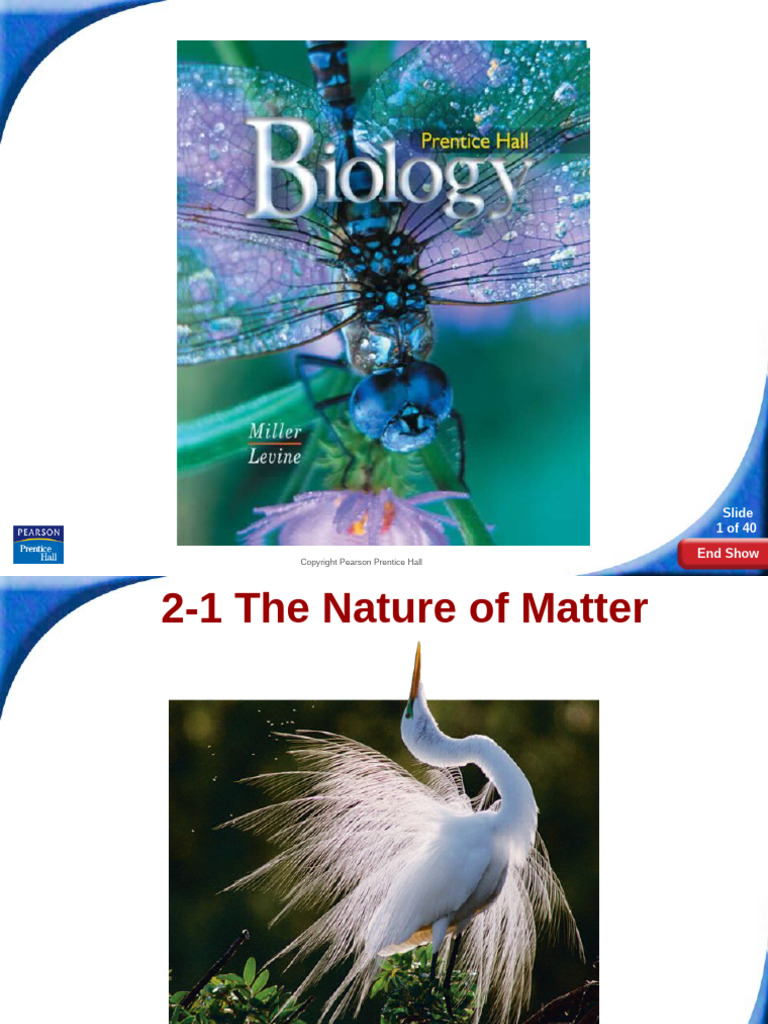 Chapter02 Section01 Meredith | PDF