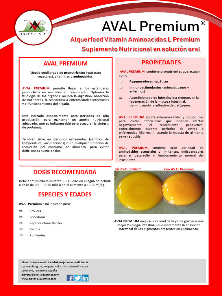 FT Aval Premium | PDF