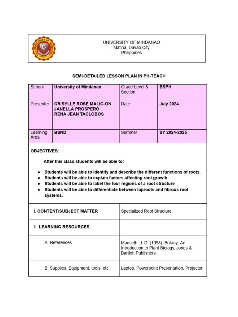 Group 5 - Lesson Plan | PDF