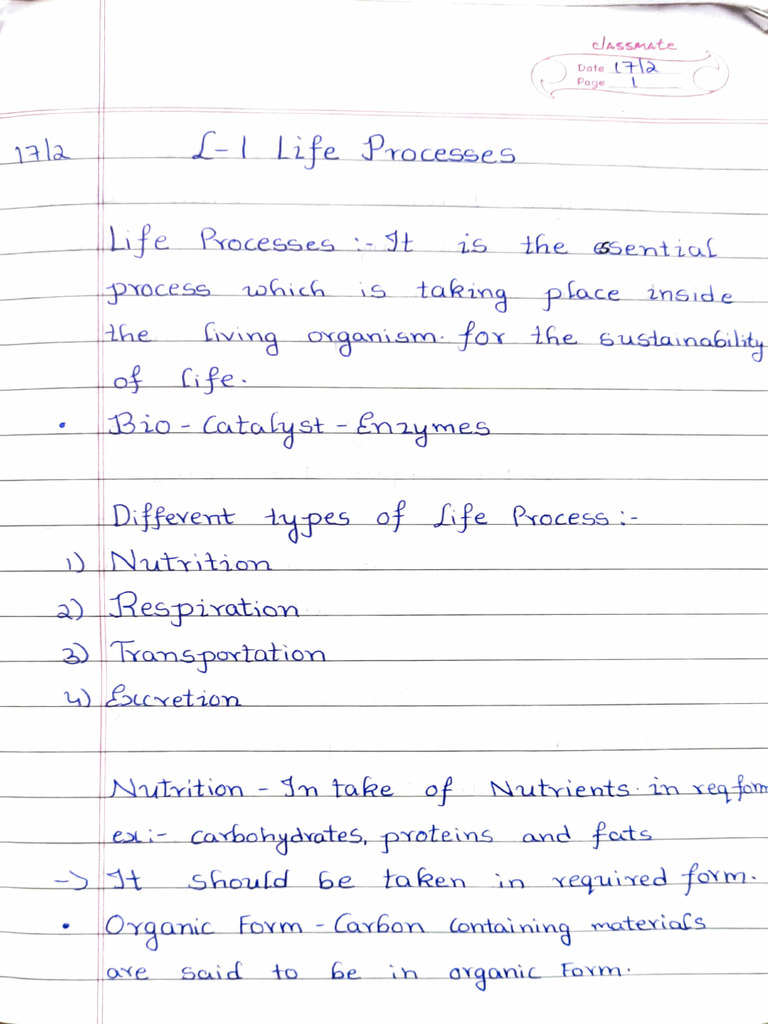 Chapter-1 Life Processes | PDF