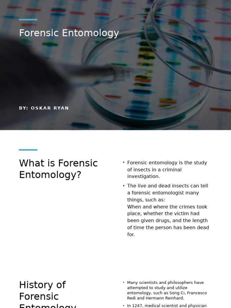 Understanding Forensic Entomology Basics | PDF