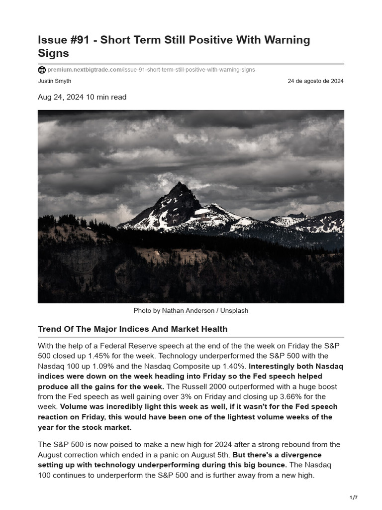 Issue 91 - Short Term Still Positive With Warning Signs | PDF
