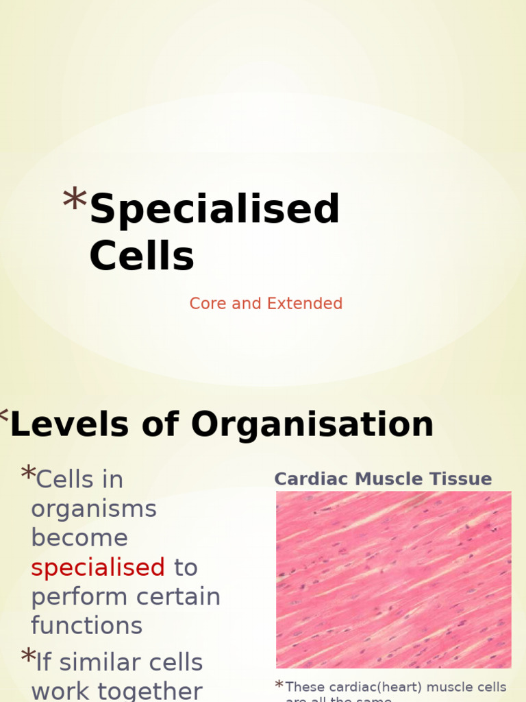 Specialised Cells | PDF