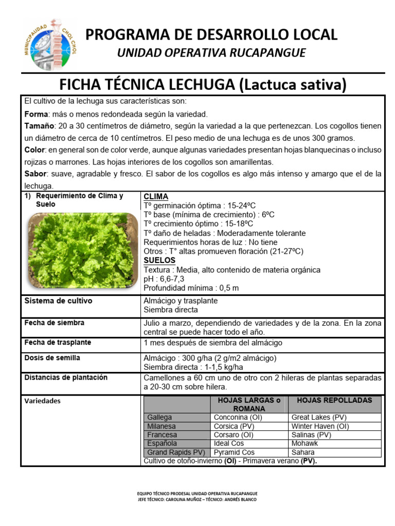 FICHA TÉCNICA lechuga | PDF