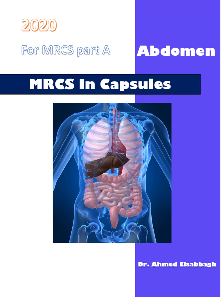 Abdomen Anatomy Final | PDF