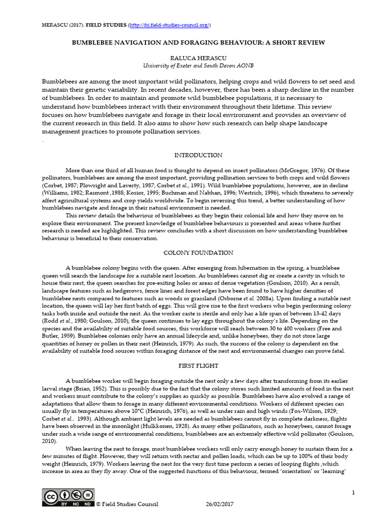 Bumblebee Navigation and Foraging Behaviour A Short Review | PDF