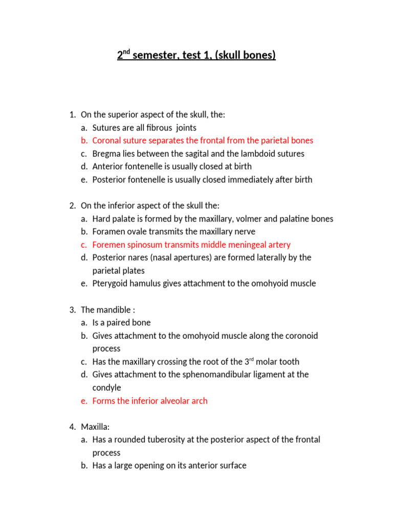 Bones of Skull | PDF | Skull | Foreign Language Studies