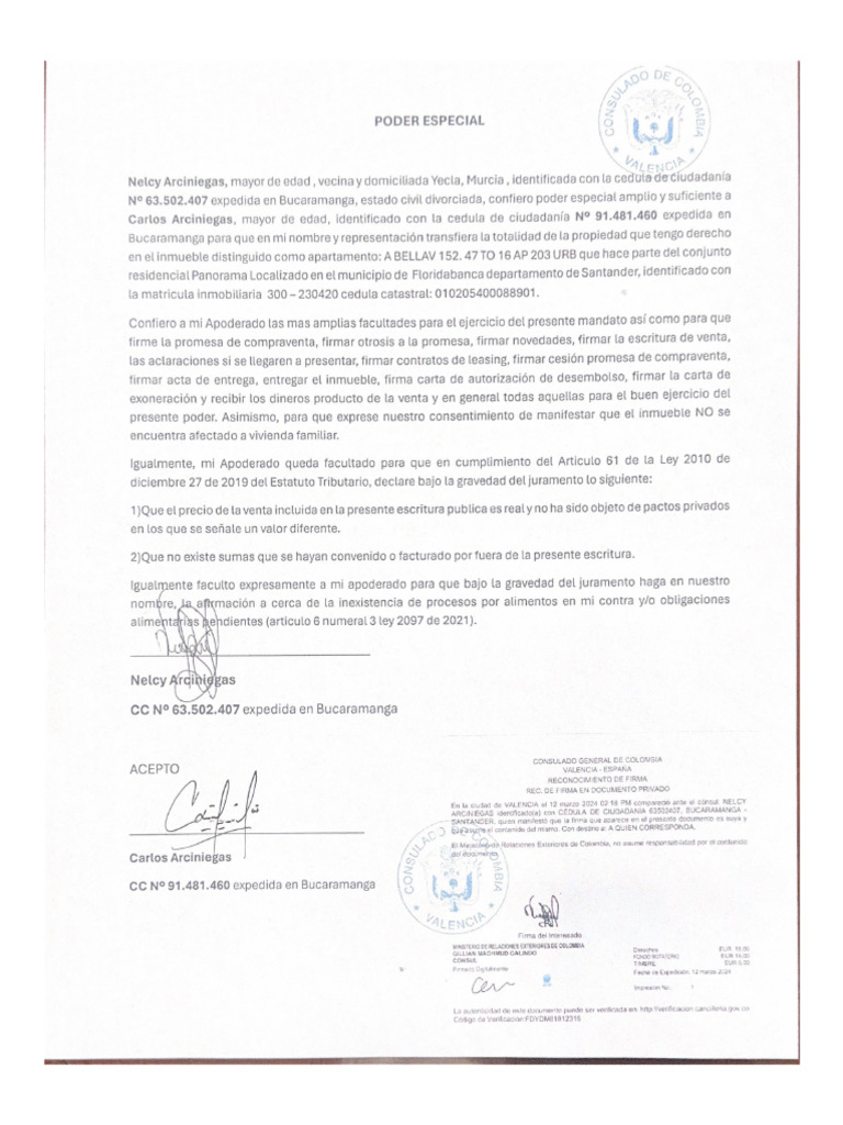 Poder Especial | PDF