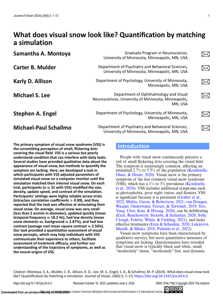 Montoya Et Al. - 2024 - What Does Visual Snow Look Like Quantification ...
