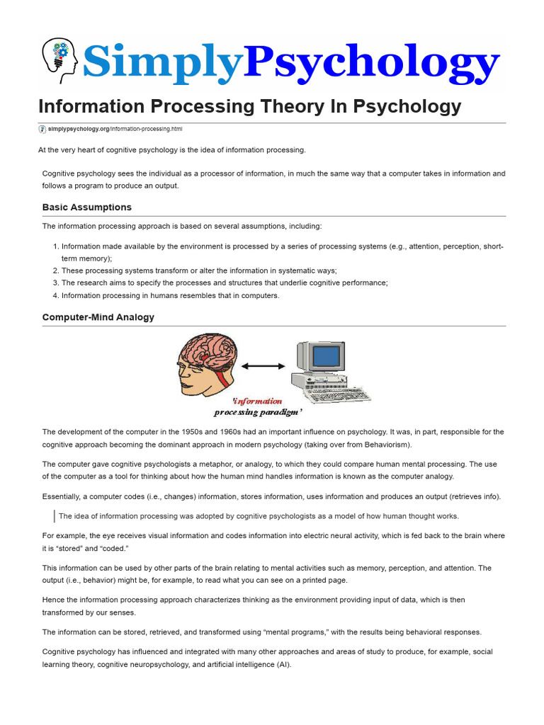 Information Processing Theory in Psychology | PDF