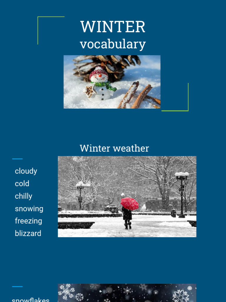 Winter - Vocabulary | PDF