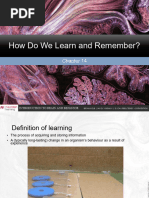 Psychology of Memory: HM Case Study | PDF | Memory | Long Term Memory