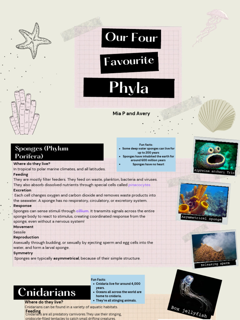 Our Four Favourite Phyla | PDF
