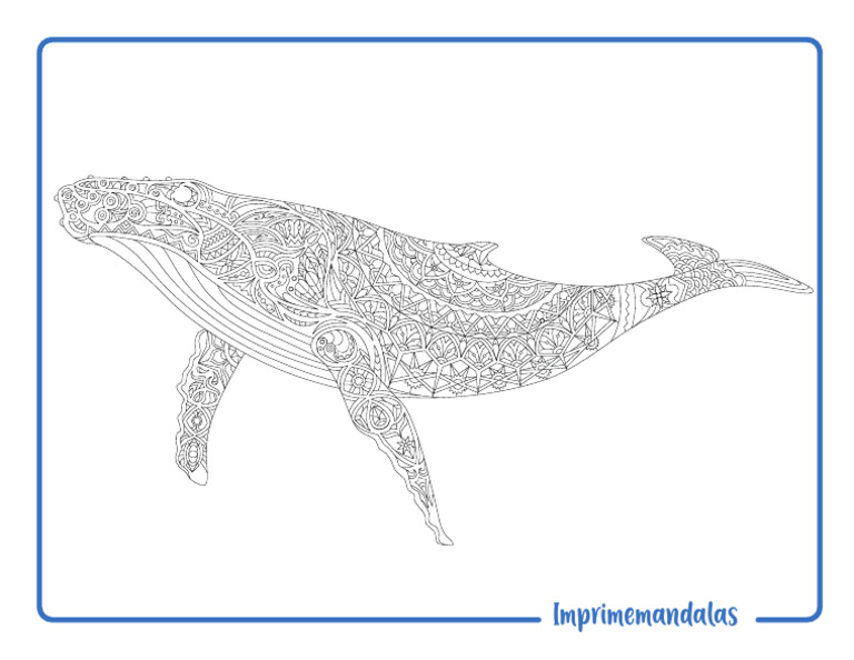 Mandala Ballena 02 | PDF