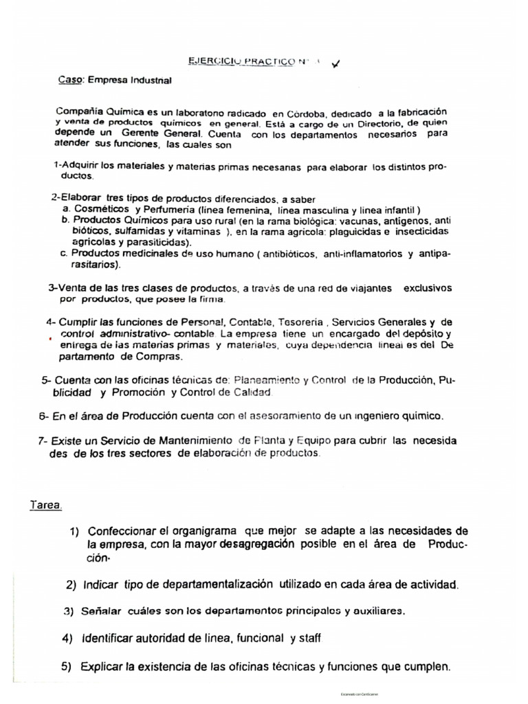 Practico 3 - Organigrama | PDF