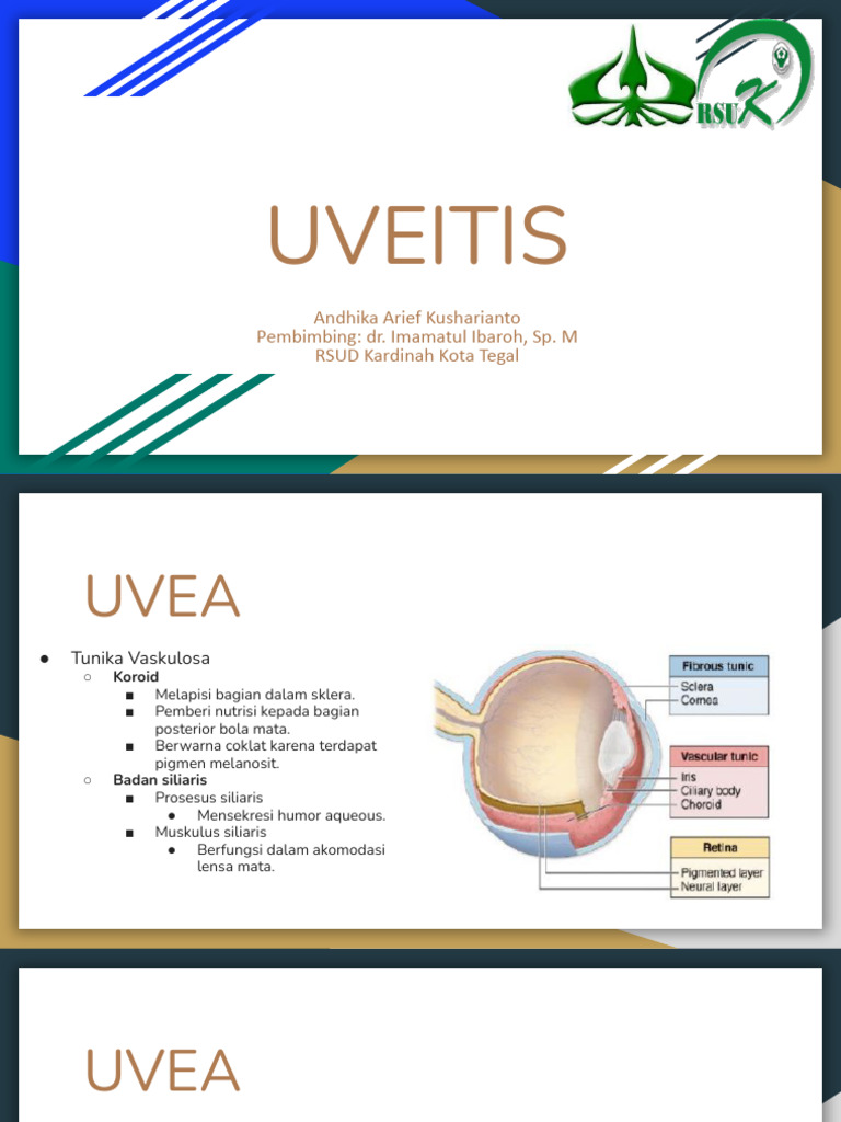 UVEITIS | PDF