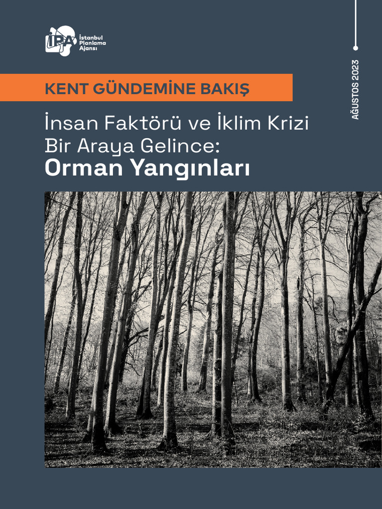 Kent Gundemi Orman Yanginlari 3 | PDF