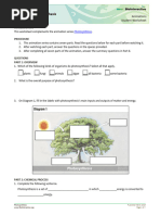 Photosynthesis Hhmi Biointeractive | PDF | Photosynthesis | Physiology