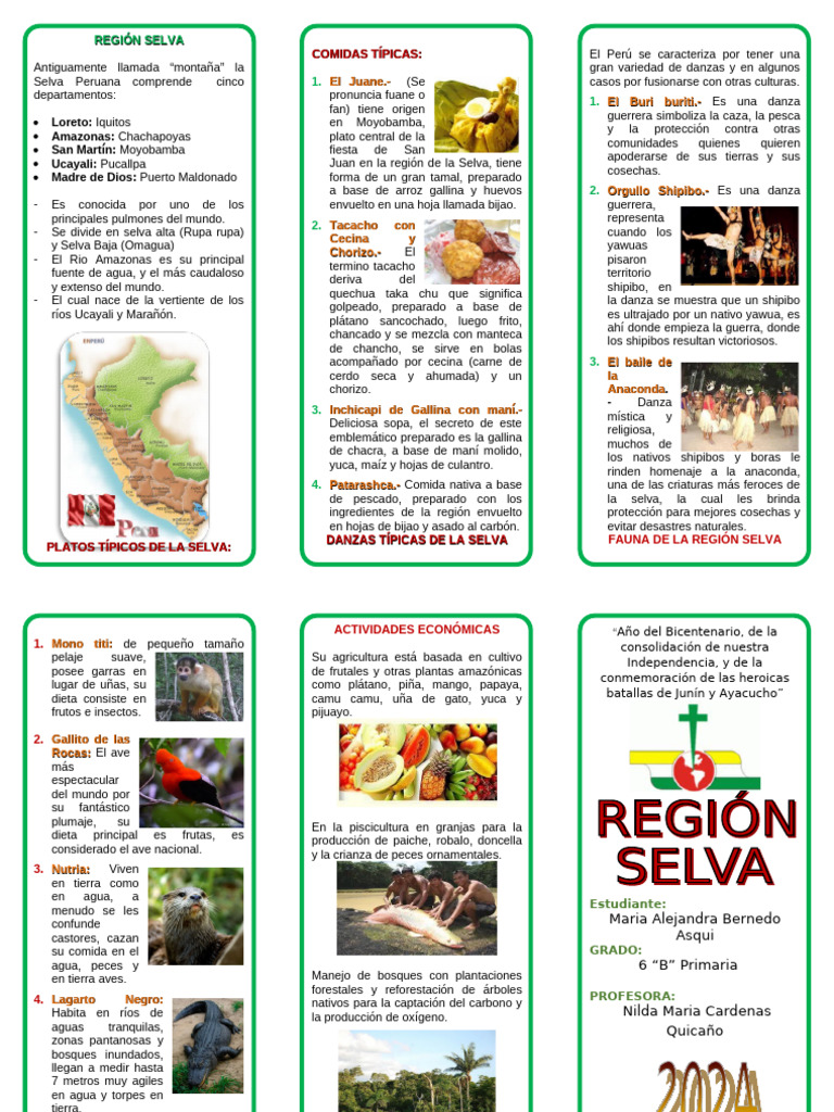 Triptico de Amazonas | PDF