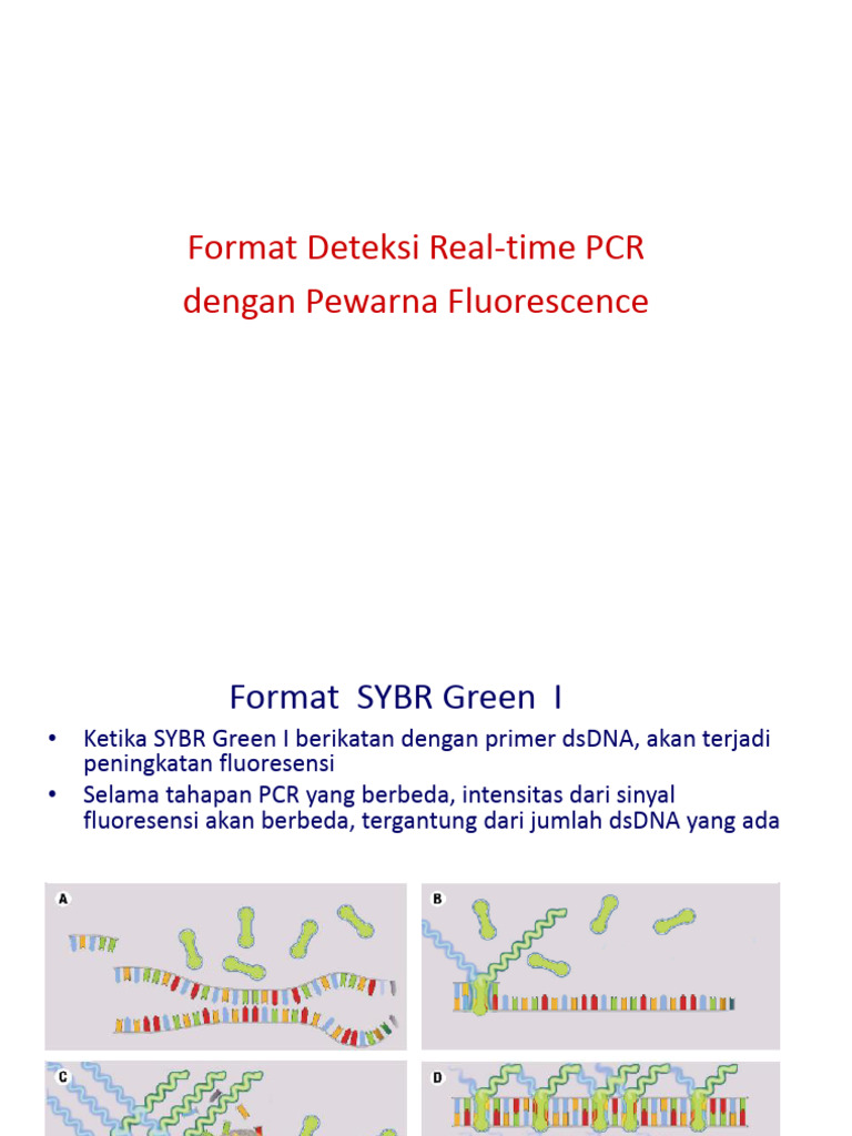 Format Deteksi Real-Time PCR | PDF