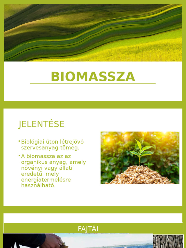 Biomassza | PDF