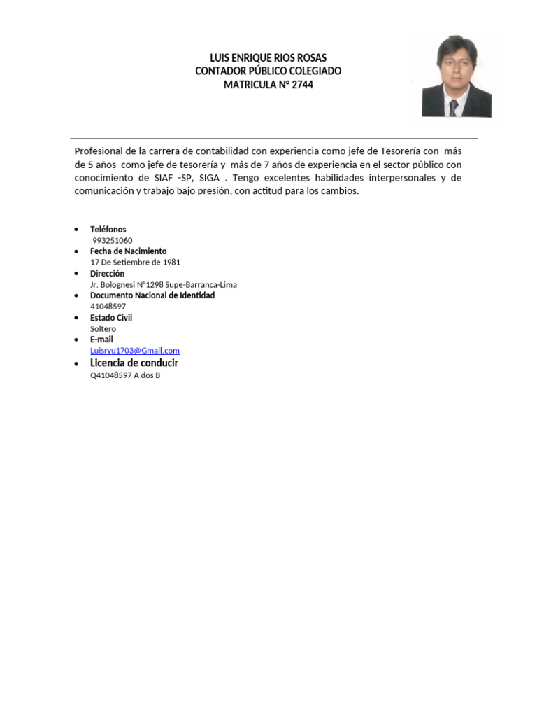 Cv Luis Rios Actualizado 2022 (1) | PDF