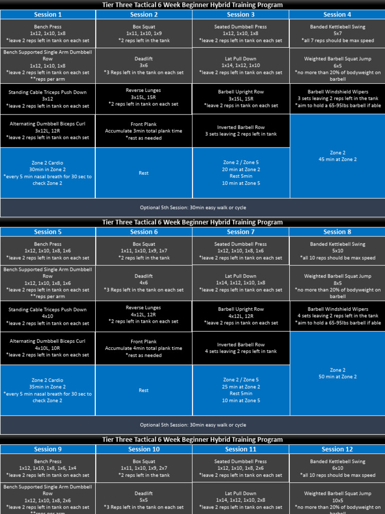 6 Week Beginner Hybrid Training Program | PDF