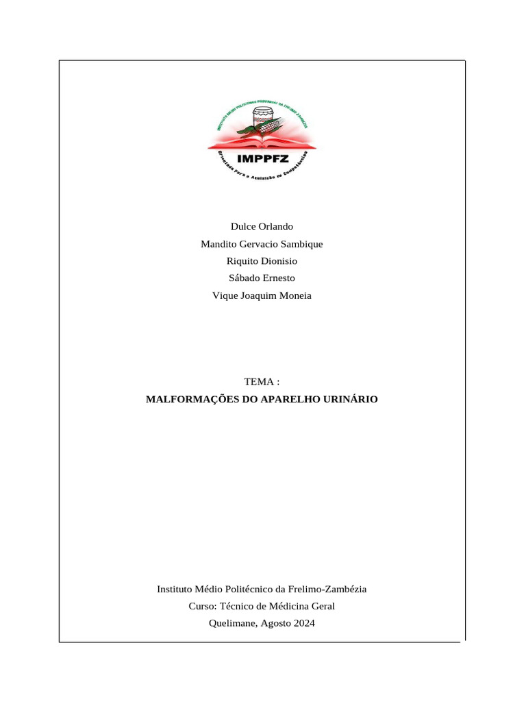 Trabalho Sistema Urinario MONEIA 2 | PDF | Rim | Micção