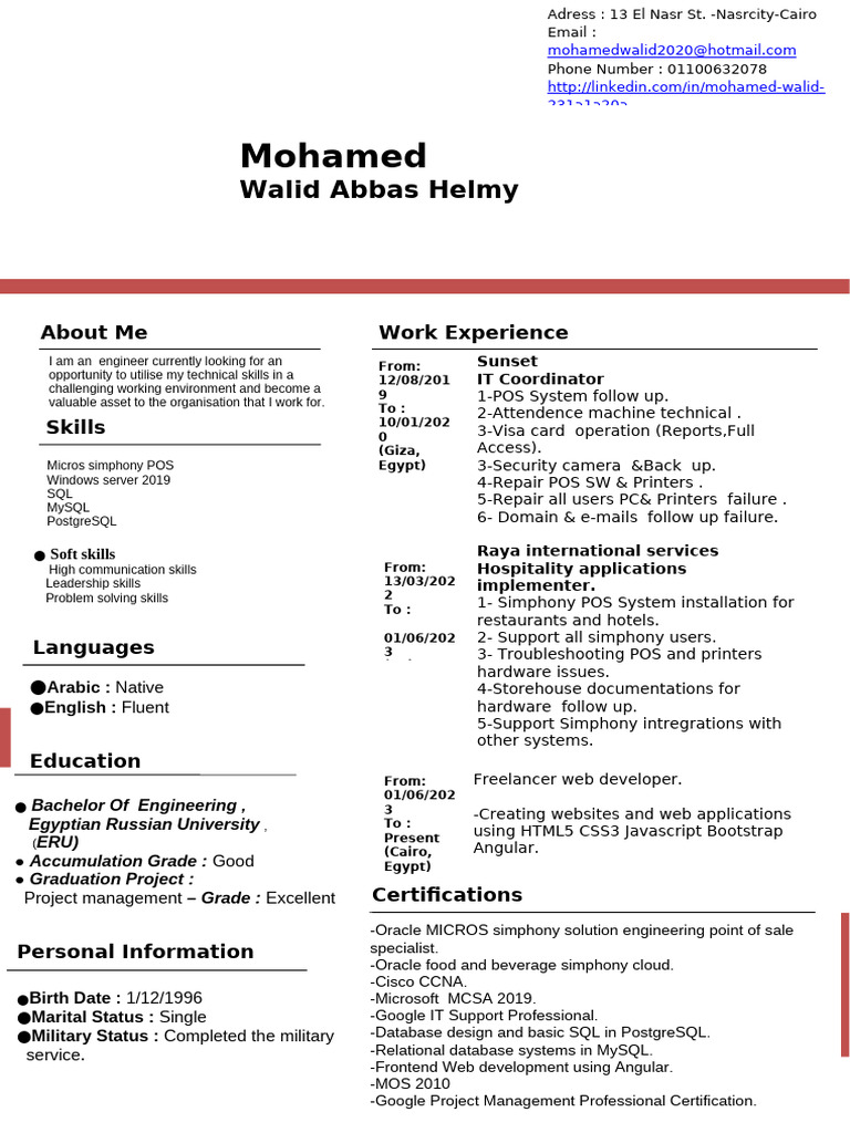 Mohamed Walid CV 2024 | PDF