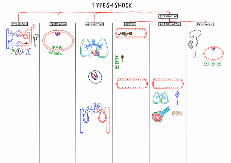 Types of Shock Hypovolemic, Cardiogenic, & Obstructive Shock | PDF