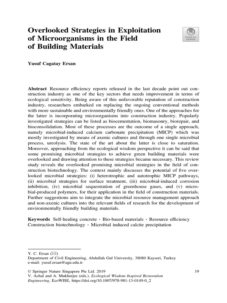 Overlooked Strategies in Exploitation of | PDF