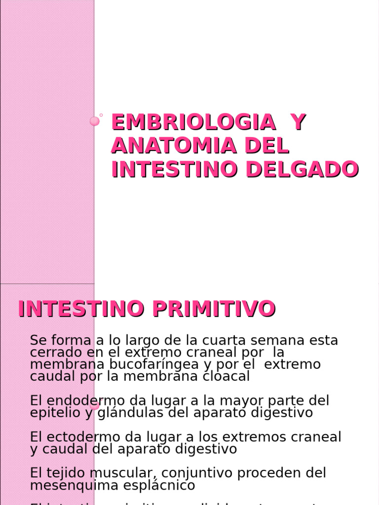 Atresias Intestinales Final | PDF