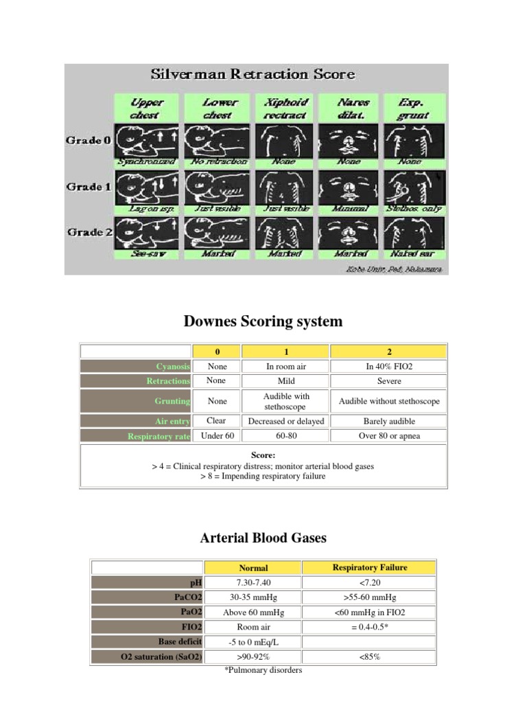 Downes Scoring System for Respiratory Distress | PDF