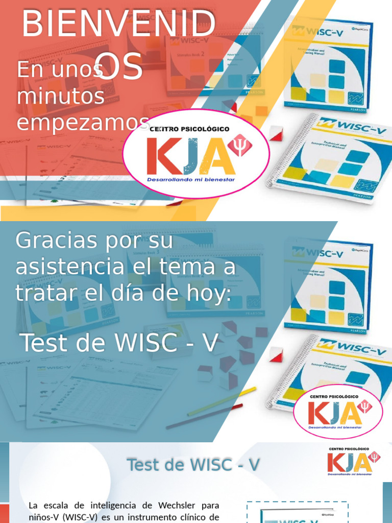Test WISC-V | PDF