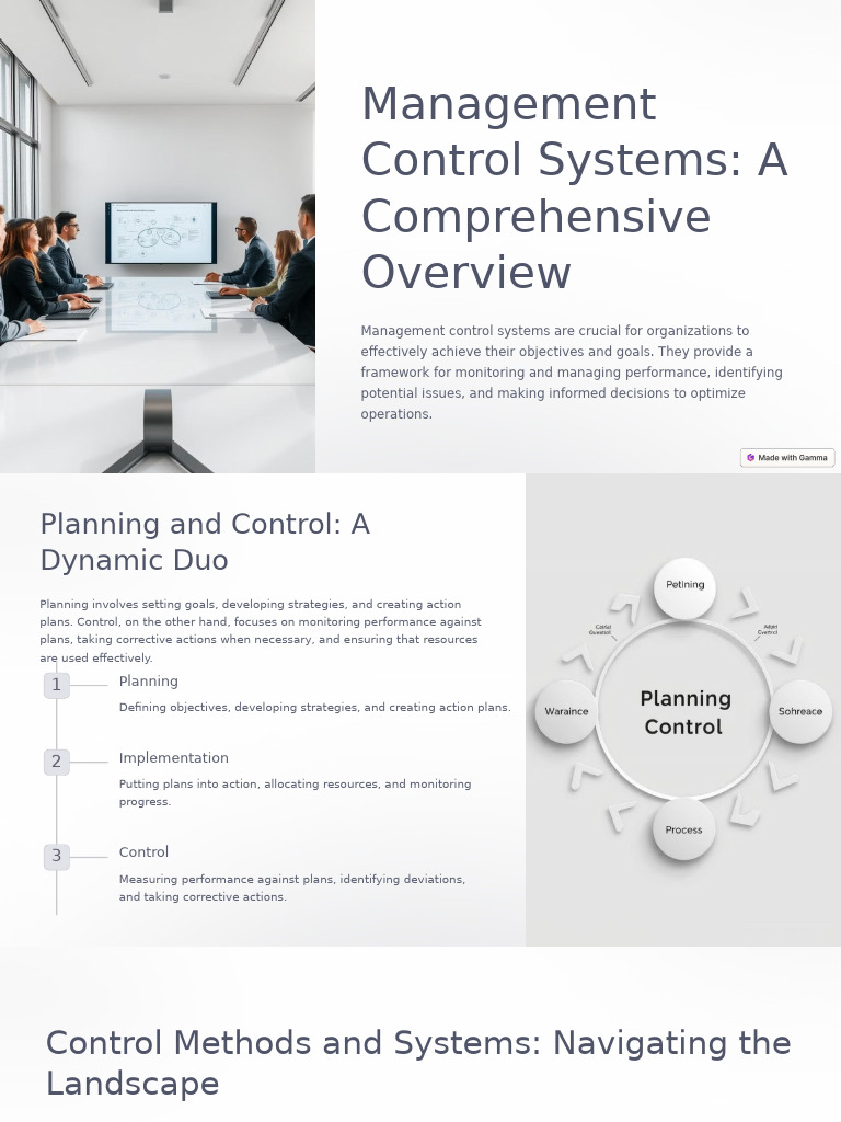 Management Control Systems A Comprehensive Overview | PDF