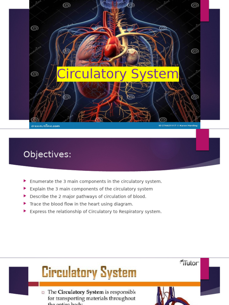 Circulatory System Revised Final | PDF