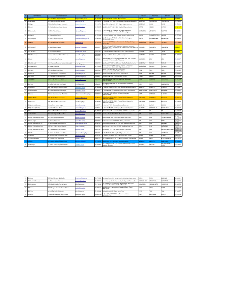 1969731-Dir GMR Udr-Actualizado Agosto 2024 | PDF