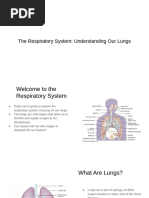 The Respiratory System Diagram No Labels - Google Searcho | PDF ...