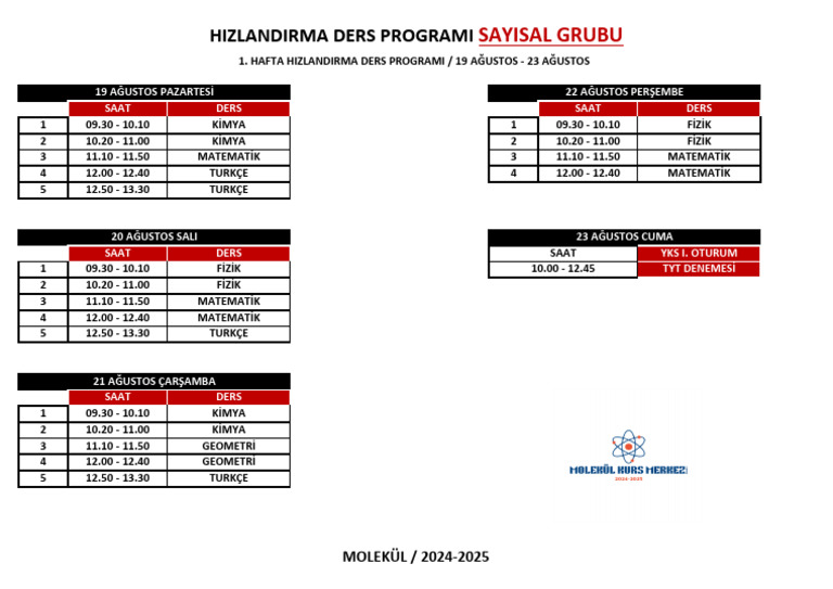 Sayisal Hizlandirma Ders Programi | PDF