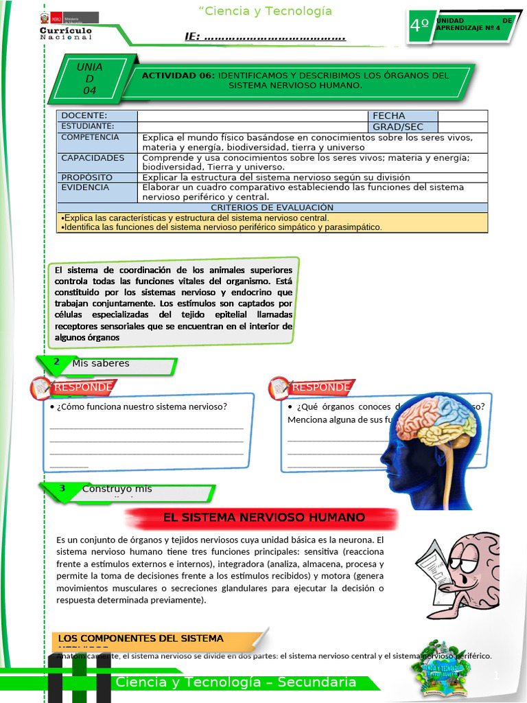 C-4º Act 6-Cyt-Und 4 | PDF